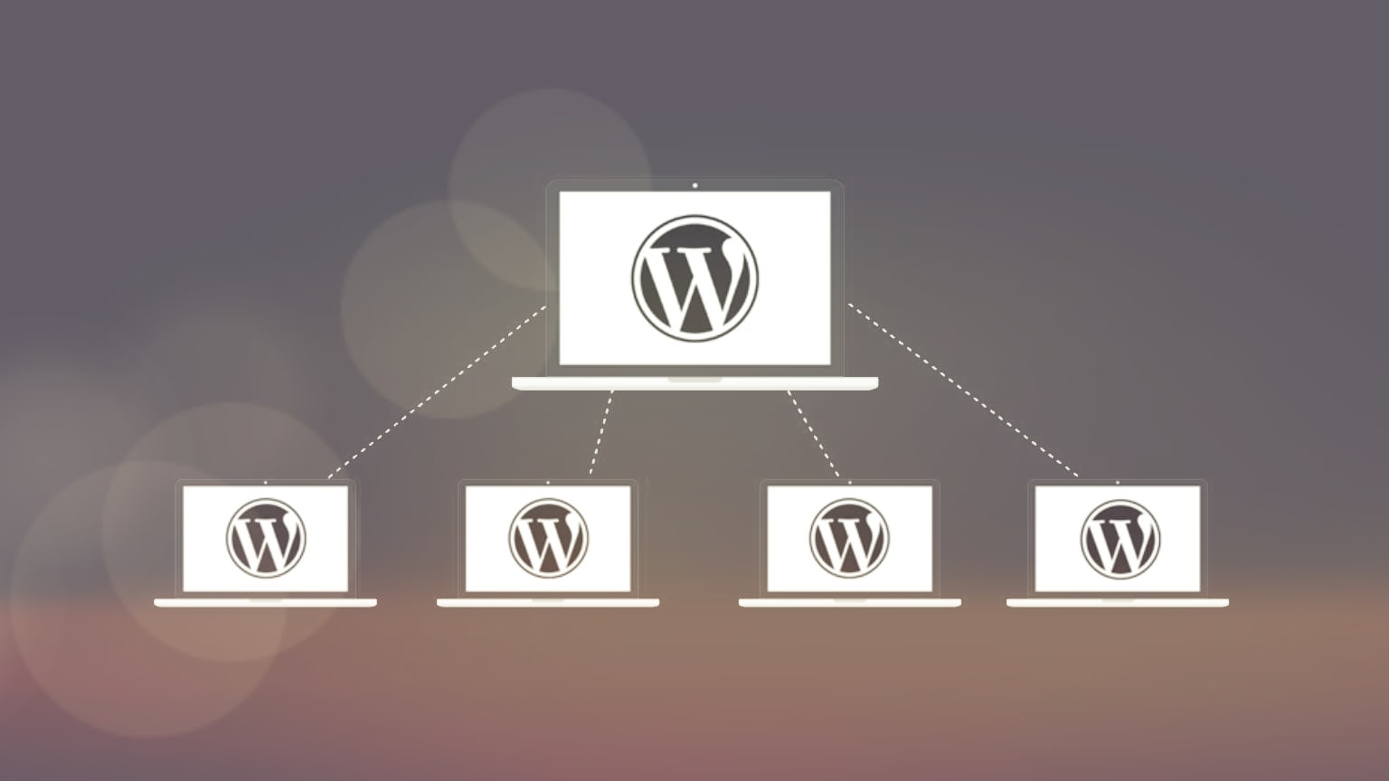 Does WordPress Multisite Network Hurt Your SEO Conic Solutions